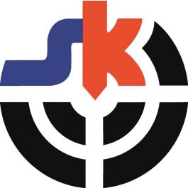 SK STANDARD PLUS .22 50 PACK