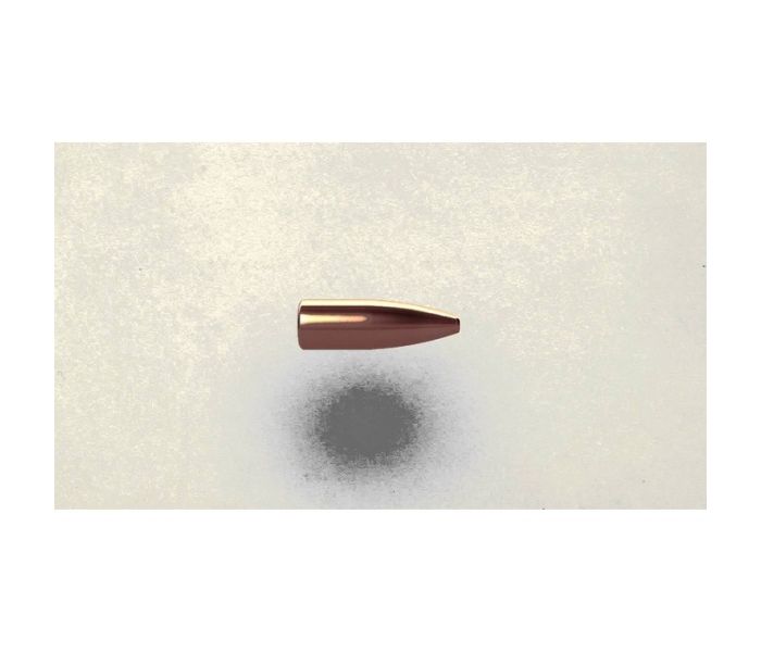 BARNES VARMINT GRENADE 6MM 62 GR HP 100PK (24372) | R. Macleod